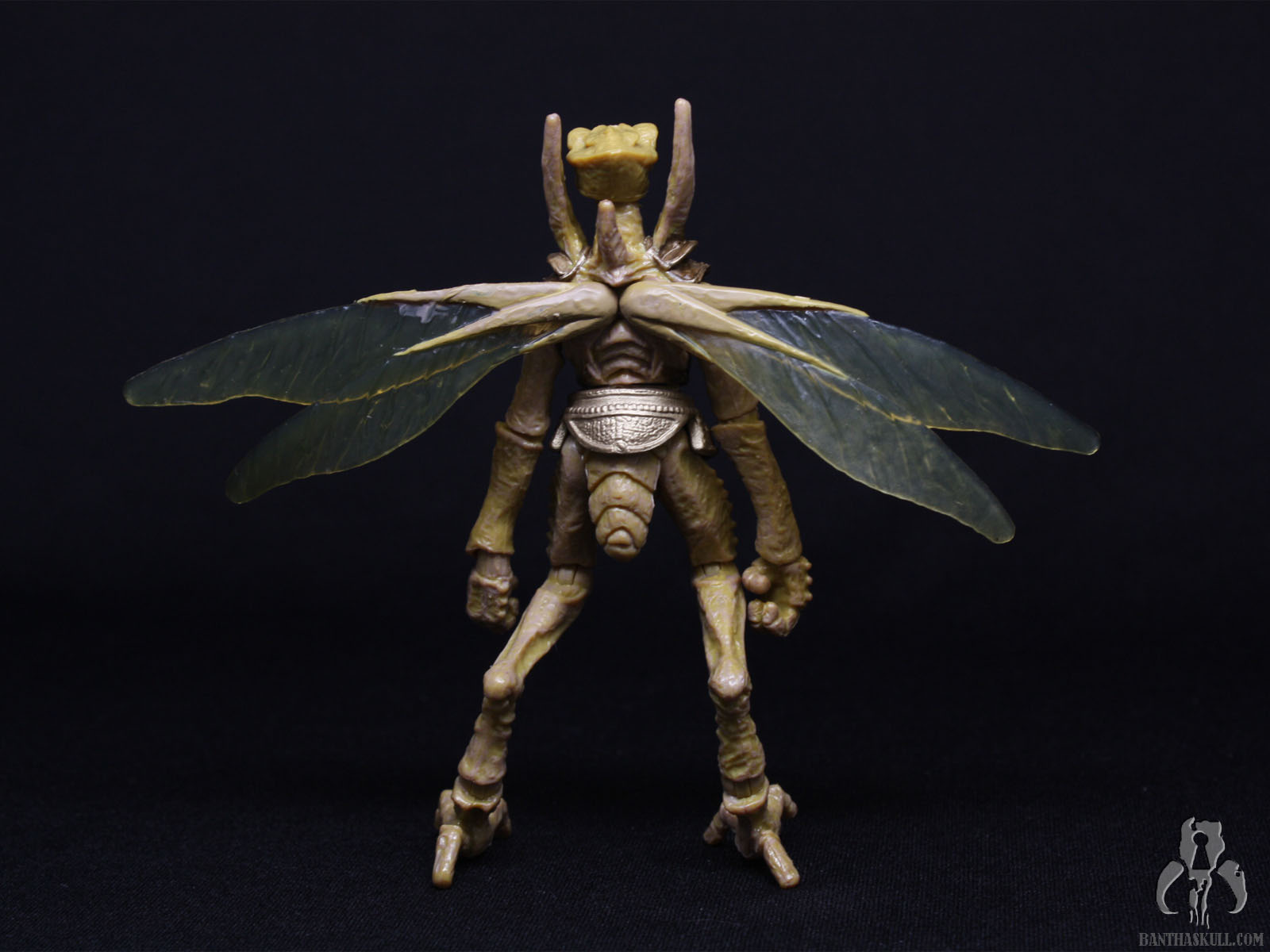 REVIEW AND PHOTO GALLERY: Star Wars Shadows Of The Dark Side SOTDS ...