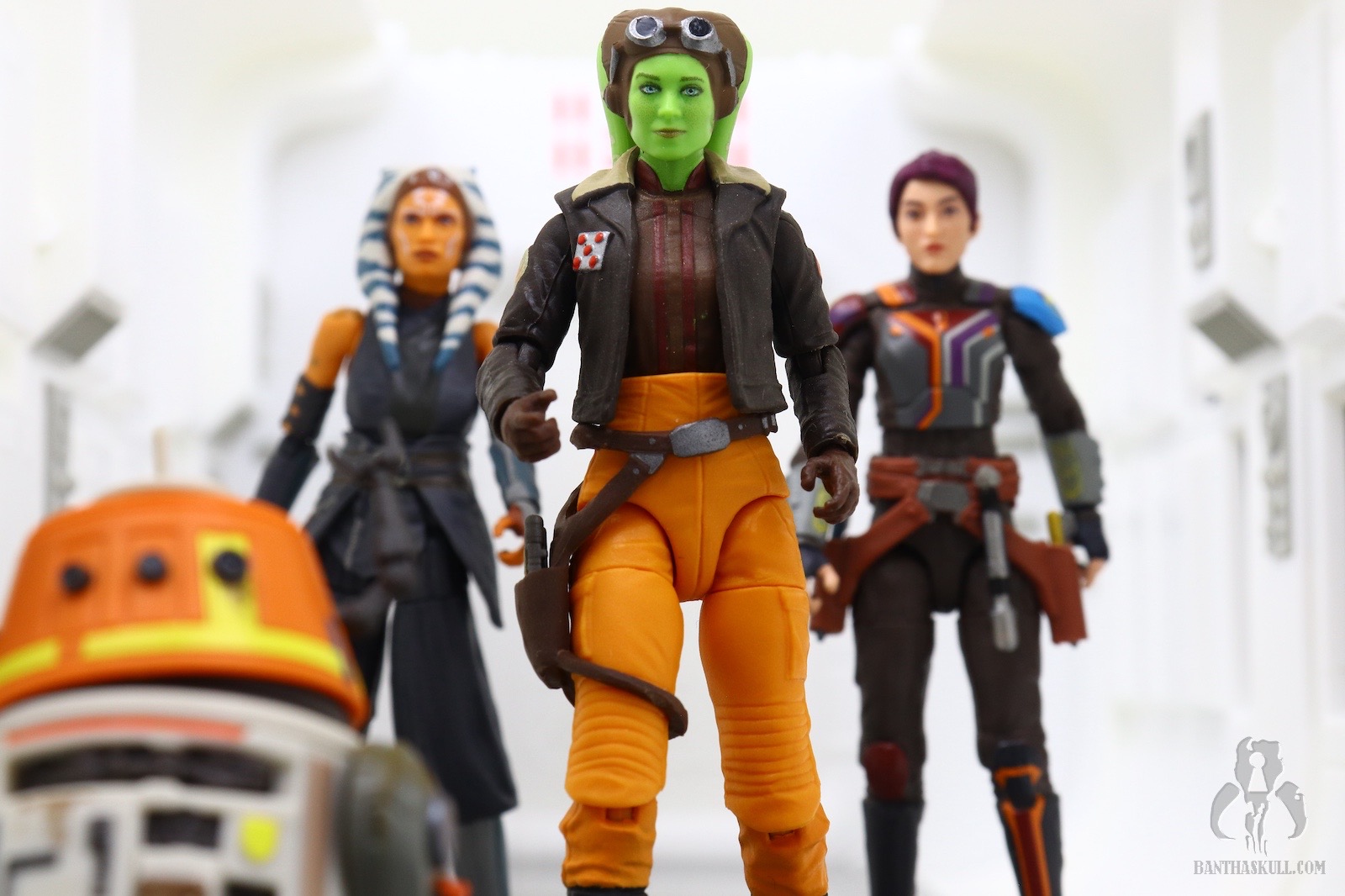 REVIEW AND PHOTO GALLERY: Star Wars Vintage Collection VC300 - General ...